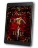 Once Upon a Time (Book 1-3 in the Romance a Medieval Fairytale series ...